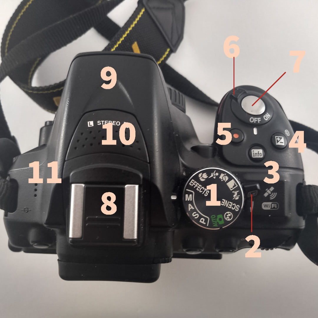 Parts Of Your Camera | Quickly Dominate All 43 Small Parts