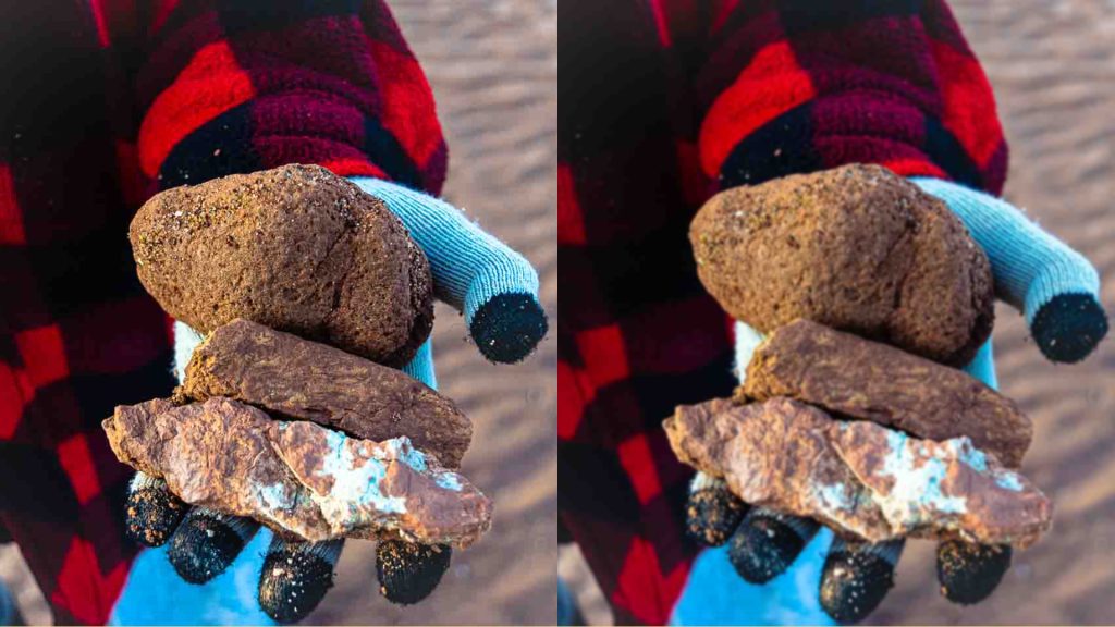 Image Quality And Megapixels: Understanding The Relationship